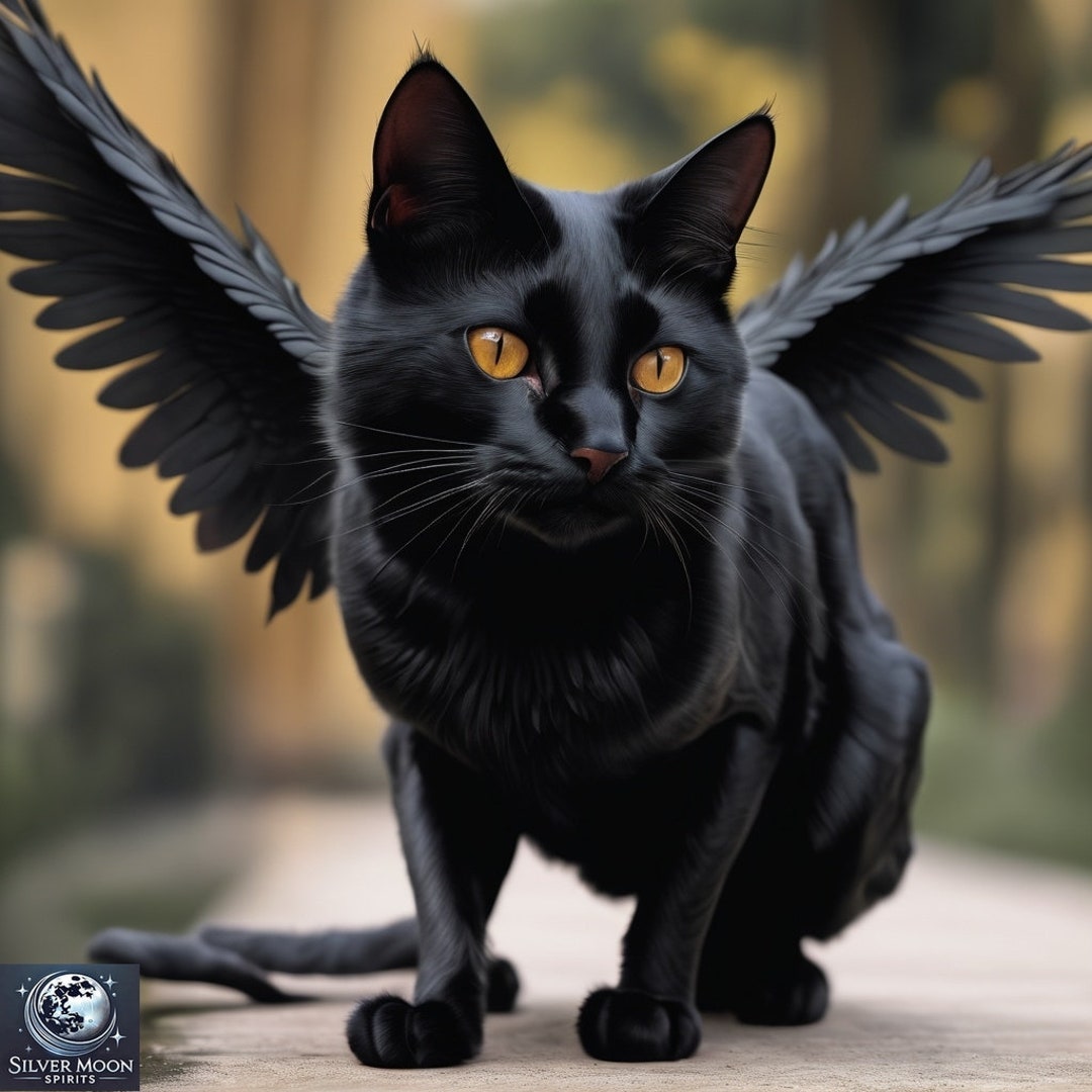 Nyx, the Witch Familiar Spirit Companion- Distant, Direct Spirit ...