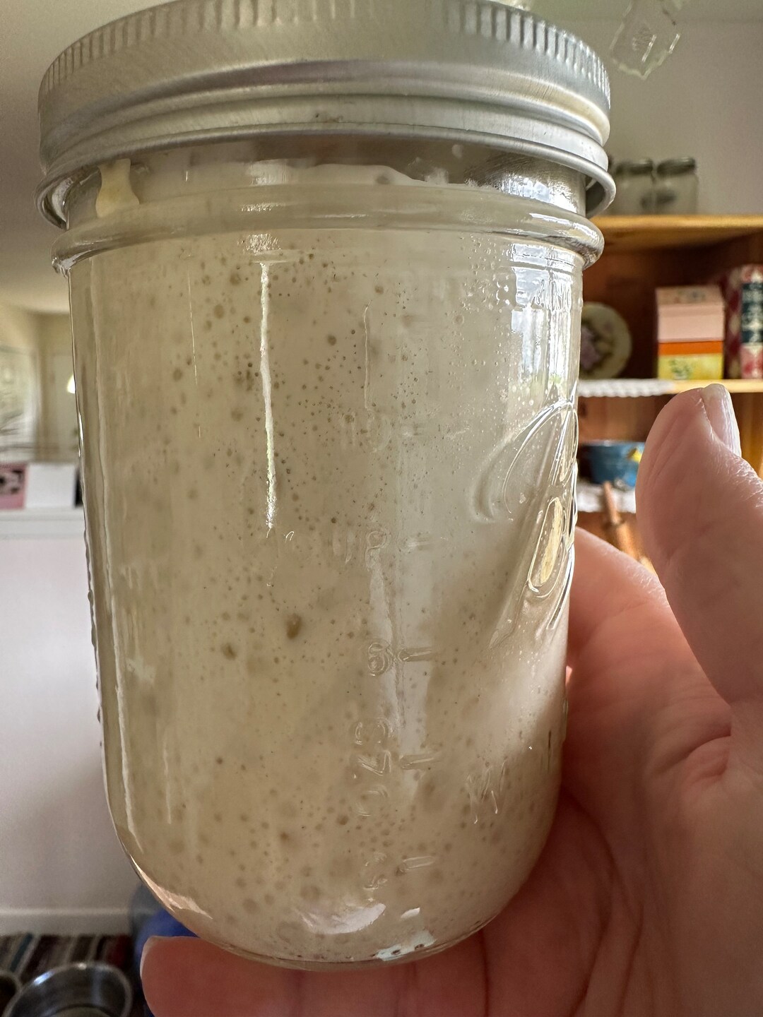 Sourdough Starter - Etsy