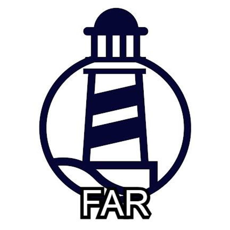 Feifer Assessment of Reading (FAR) Report Template - Etsy