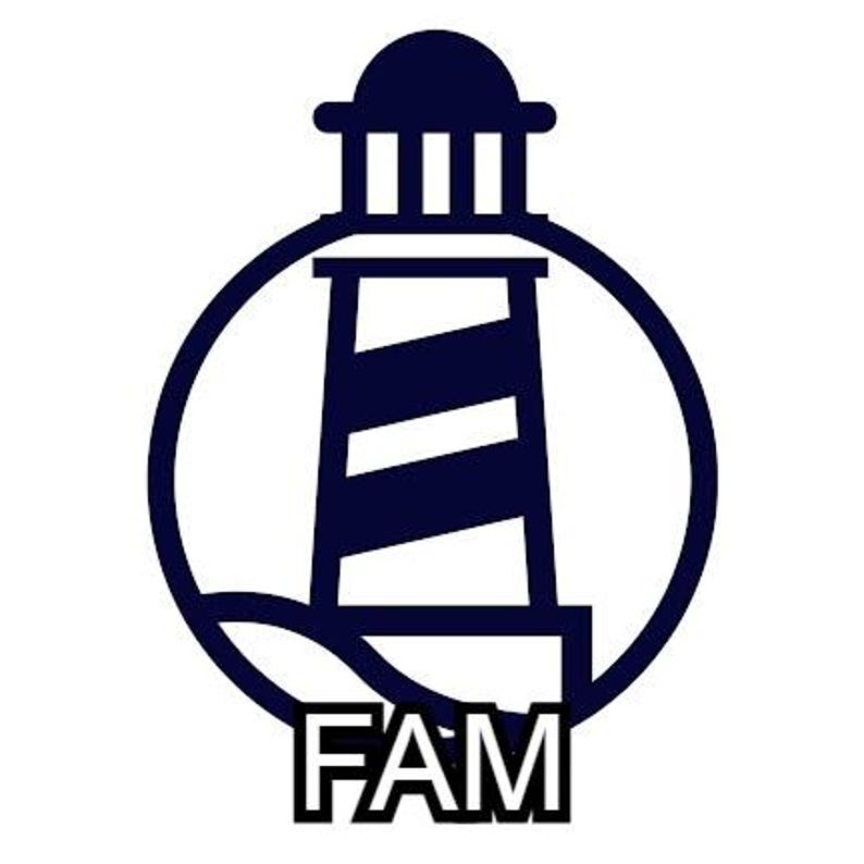 Feifer Assessment of Math (FAM) Report Template - Etsy