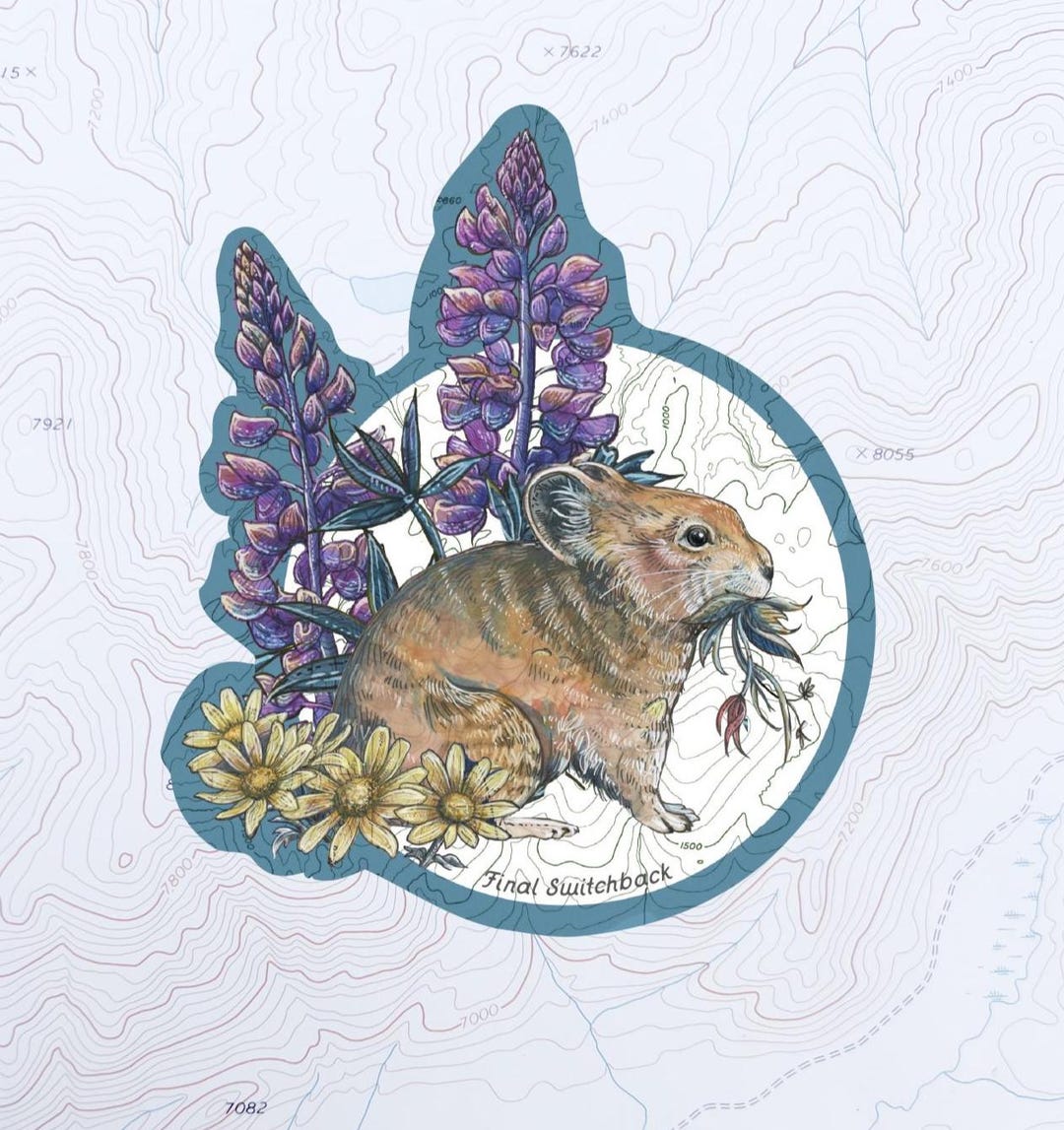 Pika Vinyl Sticker: Wildflower Hiking Decal - Weatherproof, Backpacking ...