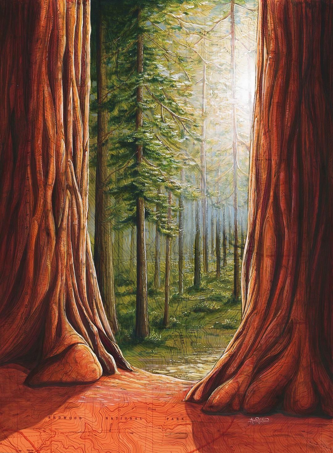 Redwood National Park Painting Print: California Forest Art - Etsy