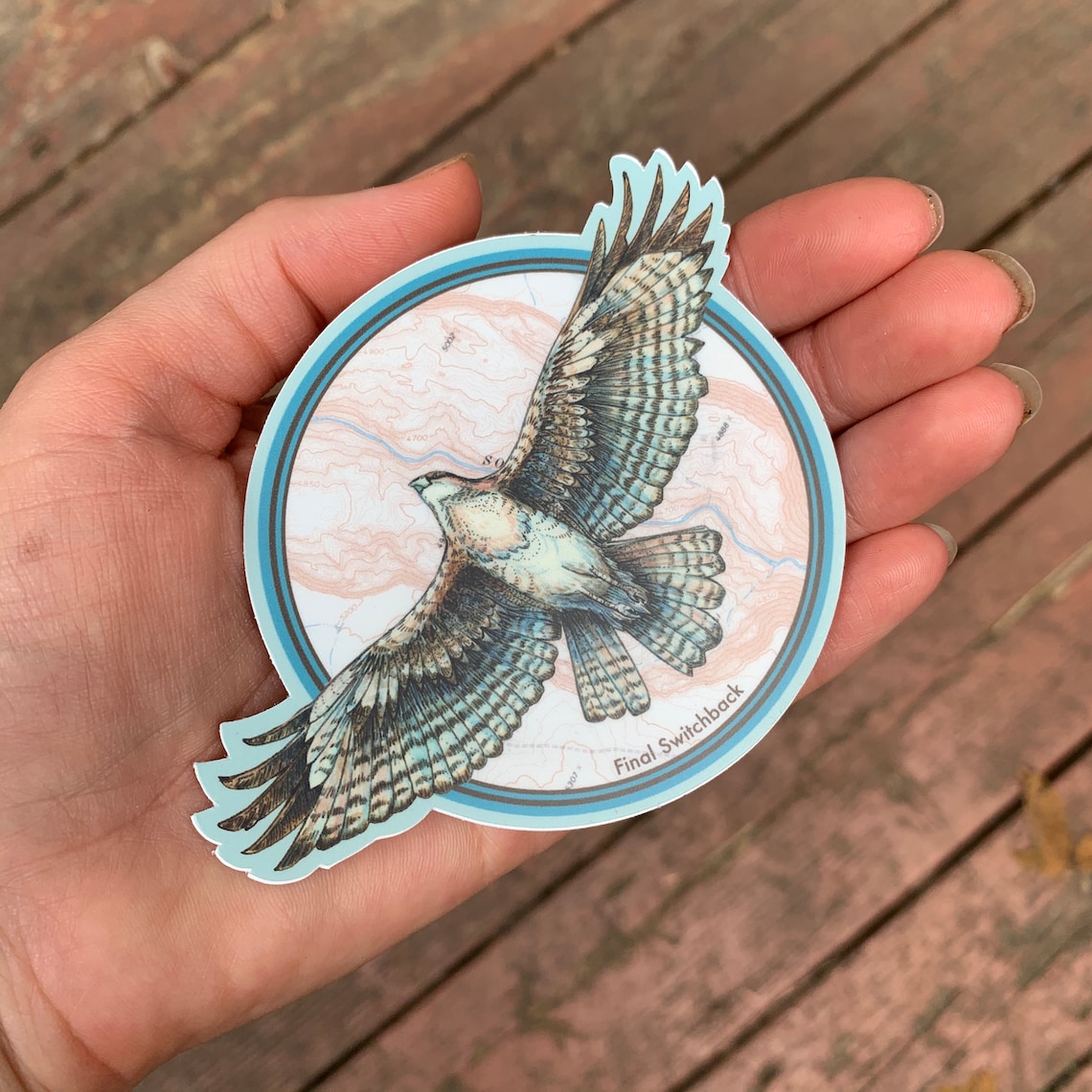 Hawk Vinyl Sticker Bird Outdoors Sticker Hiking | Etsy