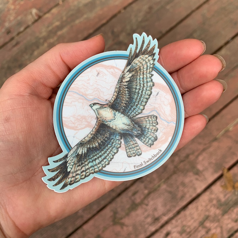 Hawk Vinyl Sticker Bird Outdoors Sticker Hiking | Etsy