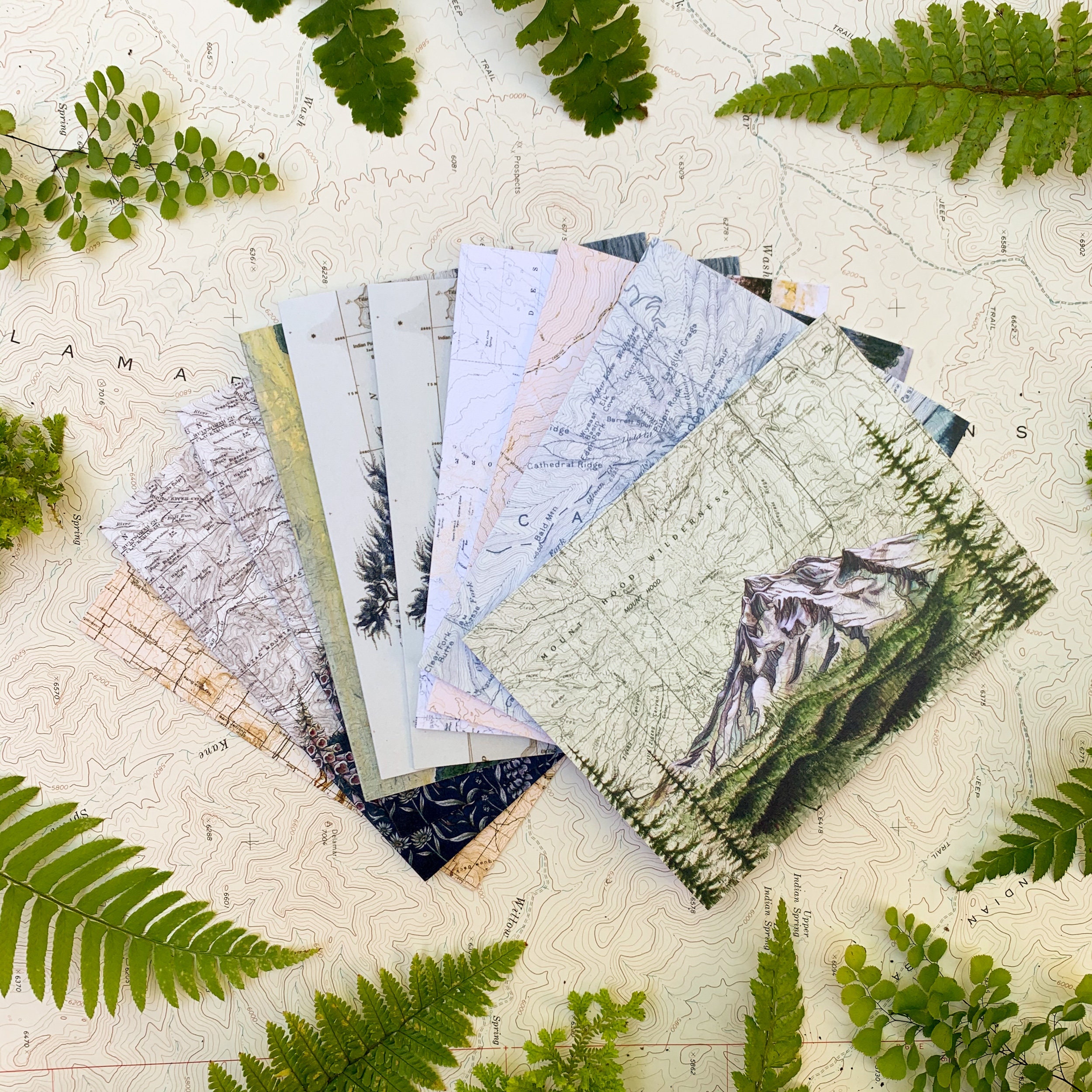 Oregon Card Set 12 Oregon mountain cards Oregon wilderness | Etsy