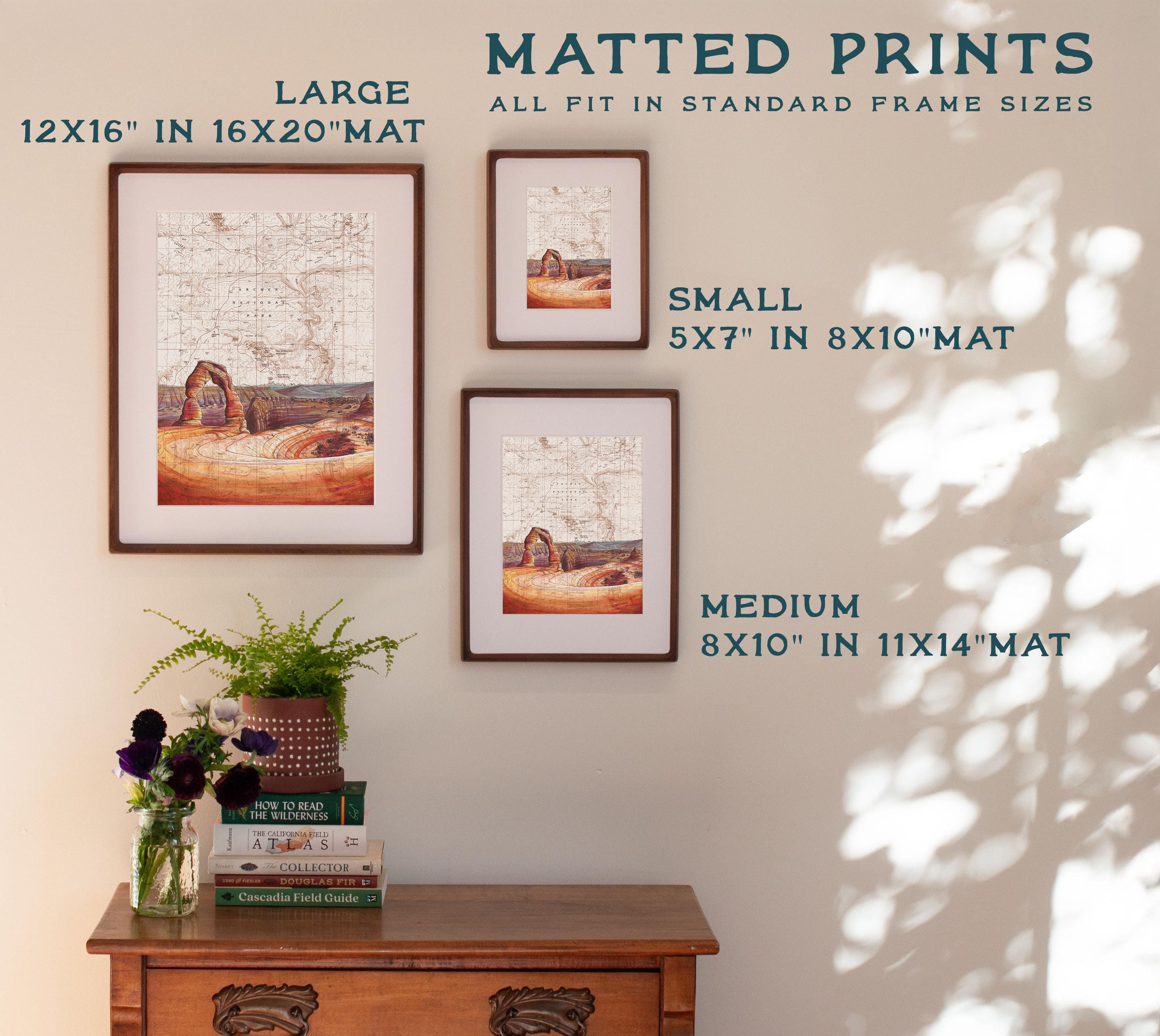 Delicate Arch Painting Print: Arches National Park Topography Map Art ...