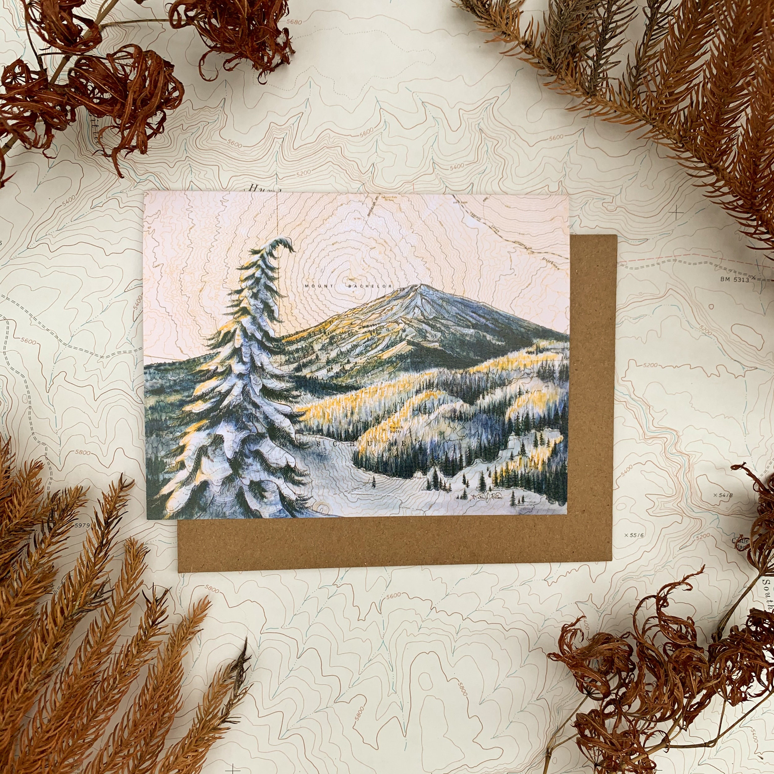 Oregon Card Set 12 Oregon Mountain Cards Oregon Wilderness - Etsy Sweden