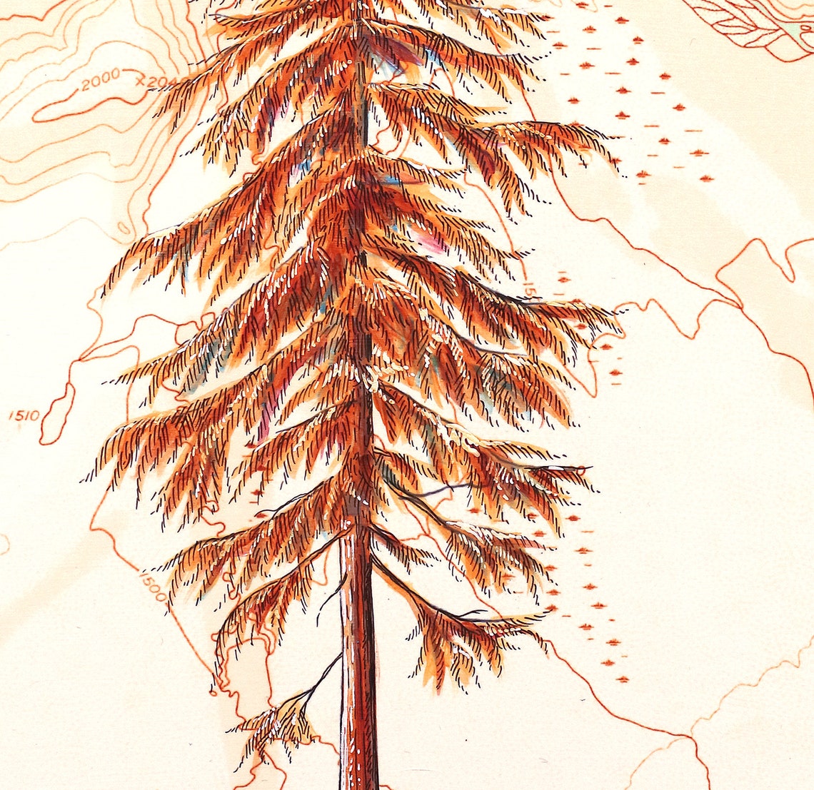 Western Hemlock Art Hemlock Pine Tree Art Painting Print | Etsy