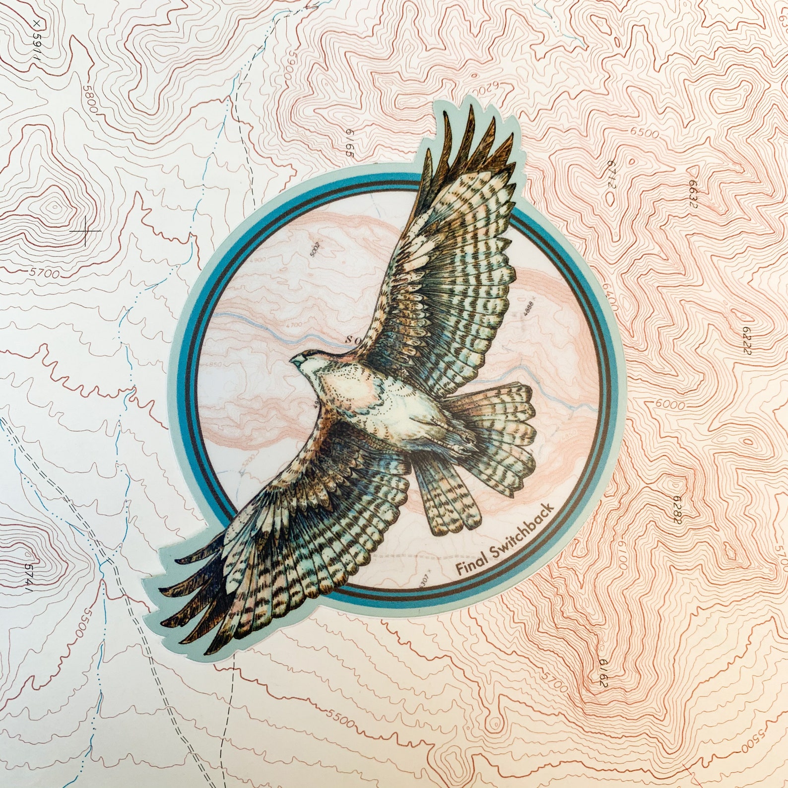 Hawk Vinyl Sticker Bird Outdoors Sticker Hiking | Etsy