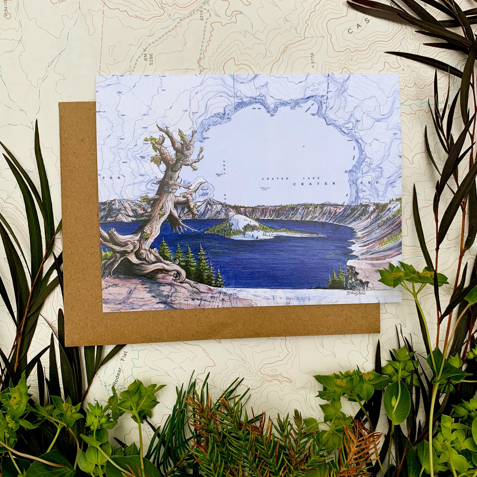 Oregon Card Set 12 Oregon Mountain Cards Oregon Wilderness | Etsy