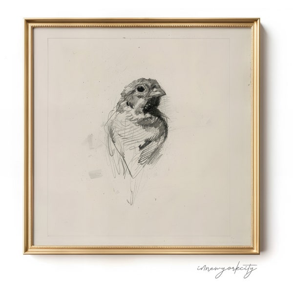 Bird Study - Etsy