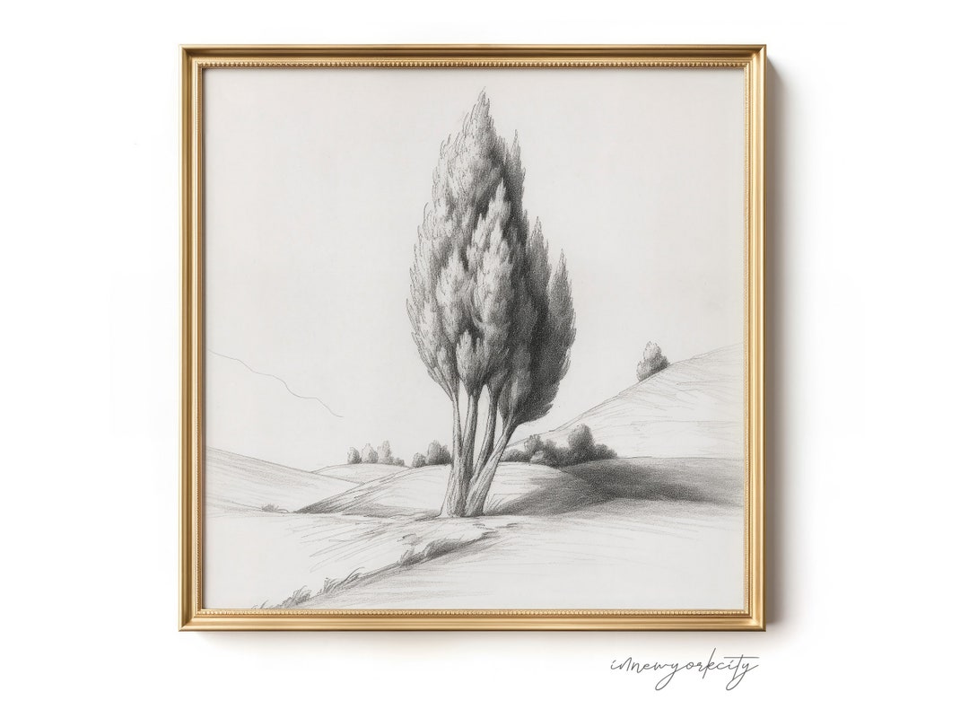 Cypress Tree Sketch, Antique European Decor, Vintage Transitional ...