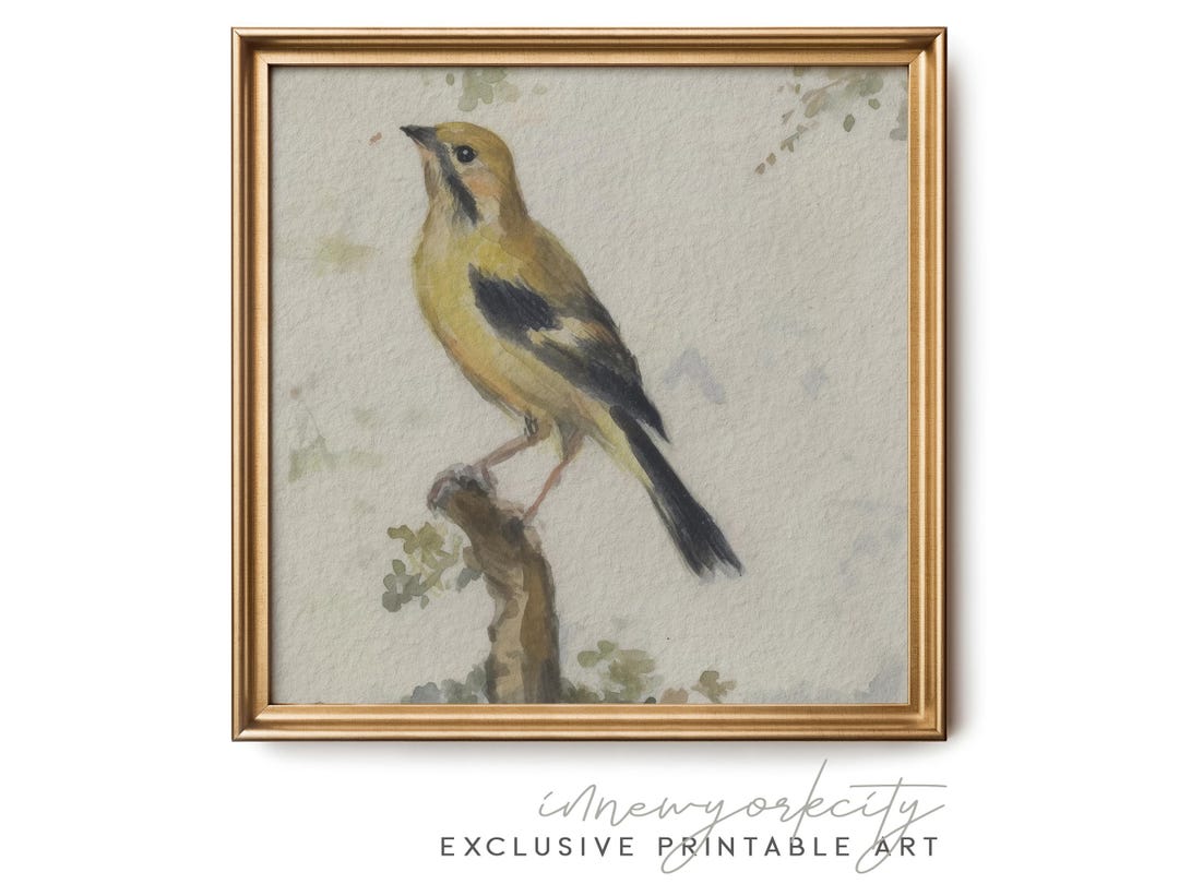 Yellow Bird Wall Art – Digital Download Watercolor Print – Vintage ...