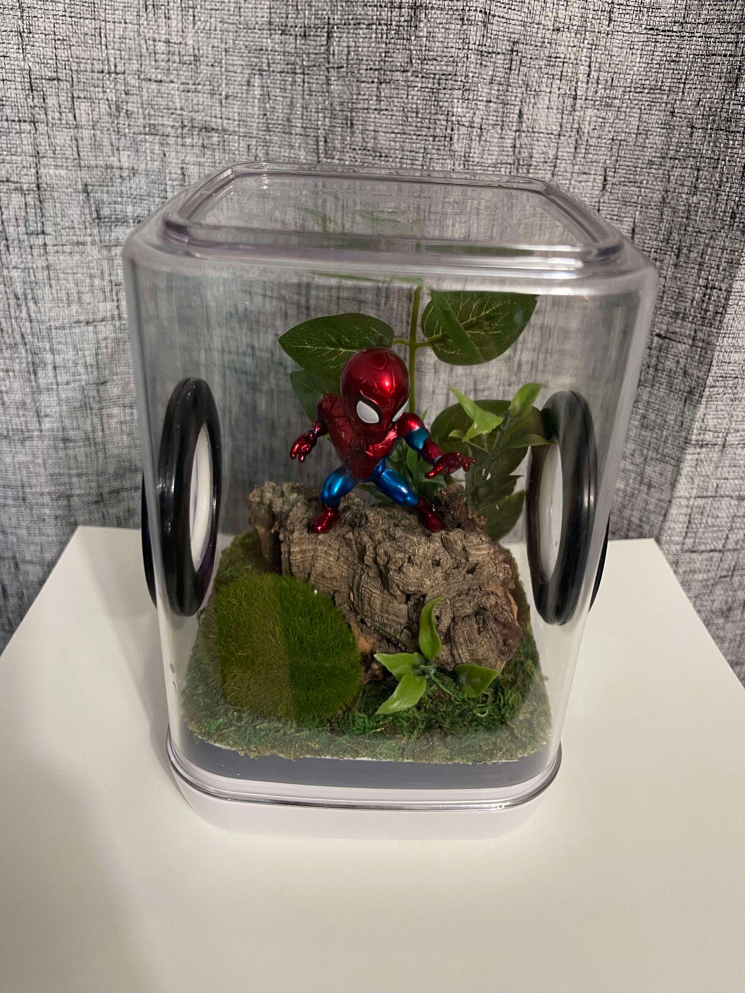 Spider Man Jumping Spider Enclosure, 5x5x7 Spider House, Spider Tank ...