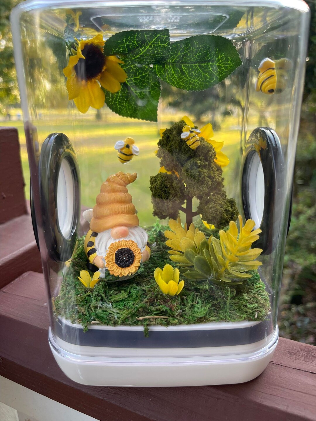 Bumble Bee Spider Enclosure - Etsy
