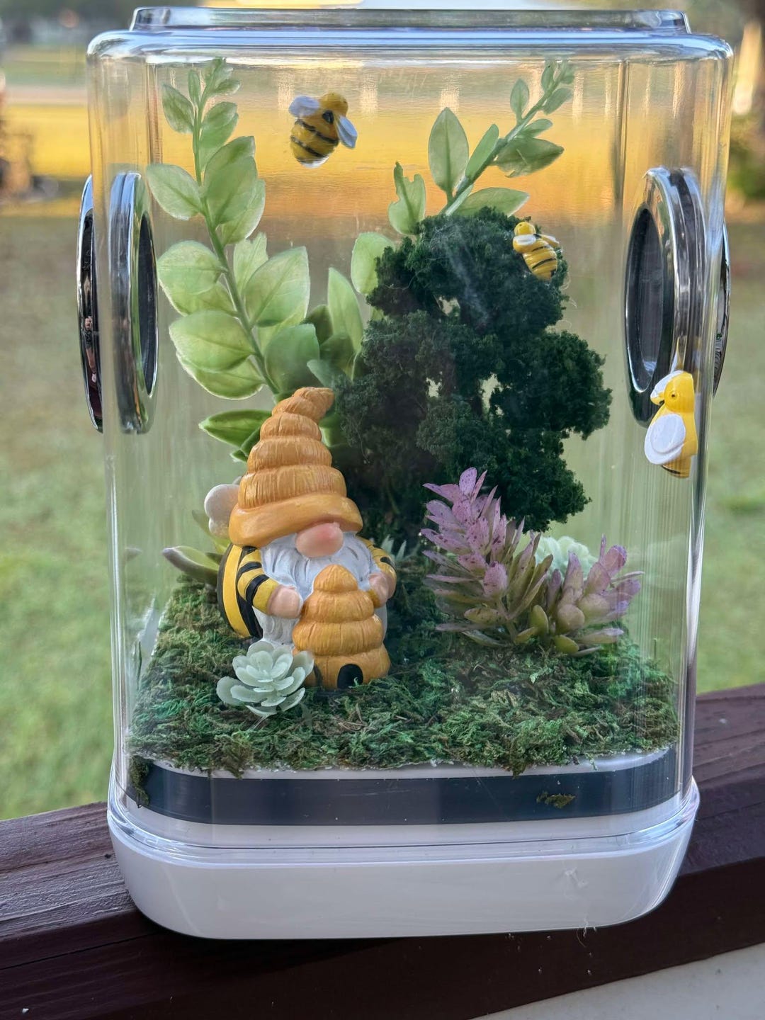 Bumble Bee Jumping Spider Enclosure - Etsy