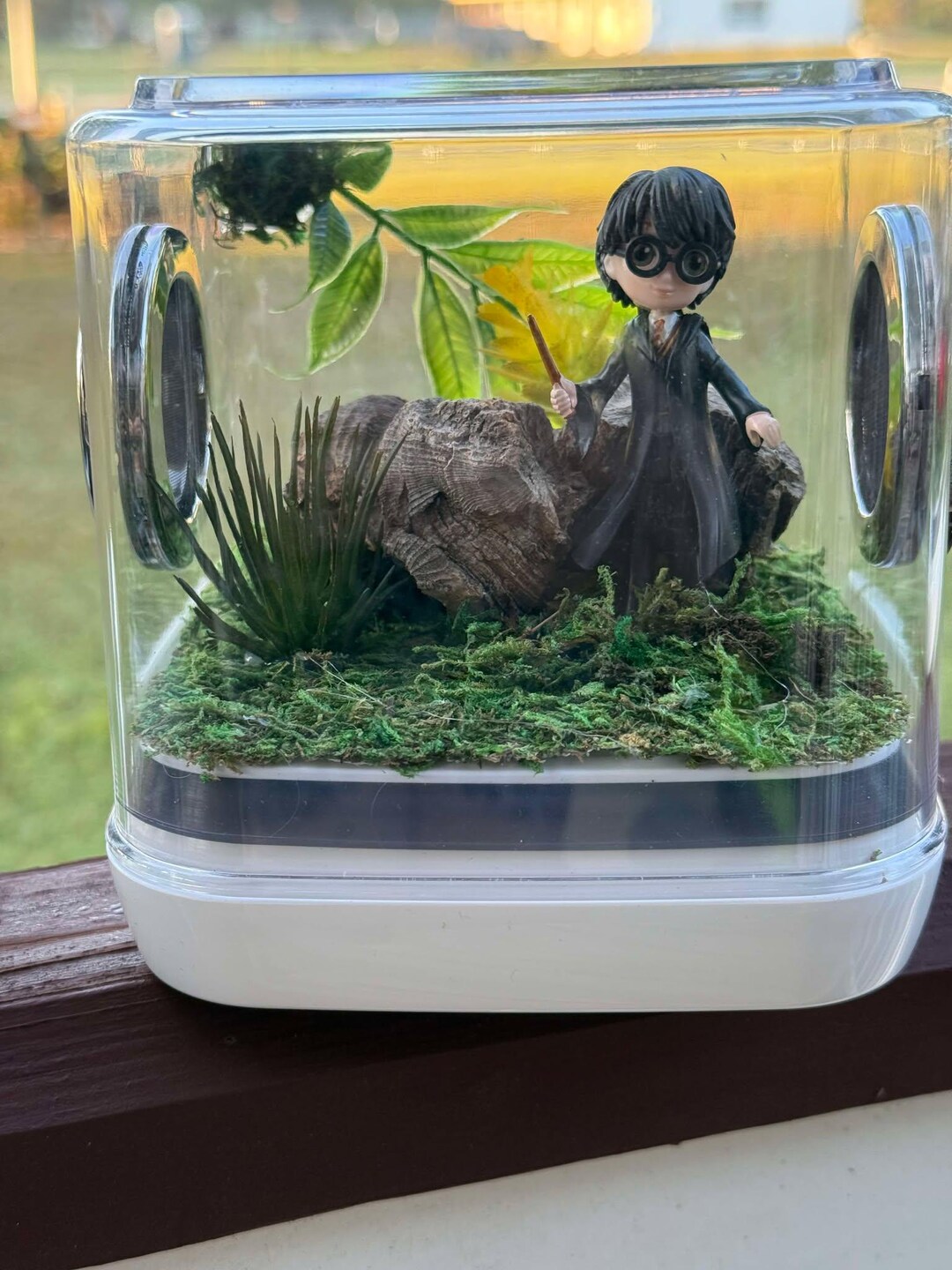 Harry Potter Jumping Spider Enclosure, Nature Enclosure, Jumping Spider ...