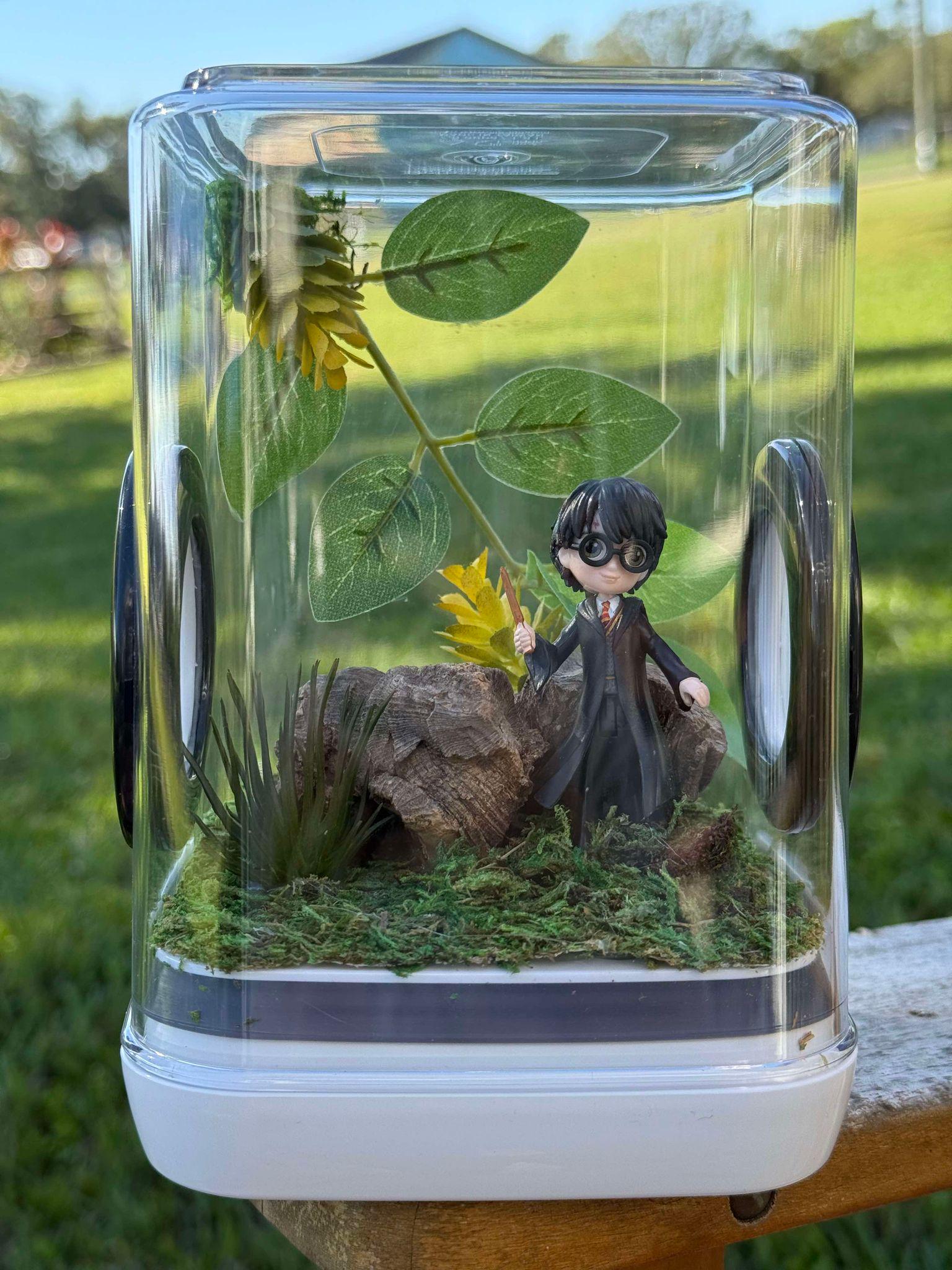 Harry Potter Jumping Spider Enclosure - Etsy