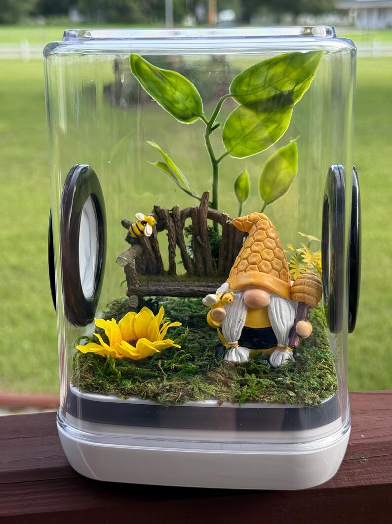 Bumble Bee Jumping Spider Enclosure - Etsy