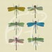 Aesthetic Downloadable Bug Wall Art Set - Etsy