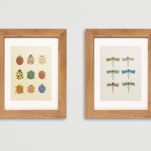 Aesthetic Downloadable Bug Wall Art Set - Etsy