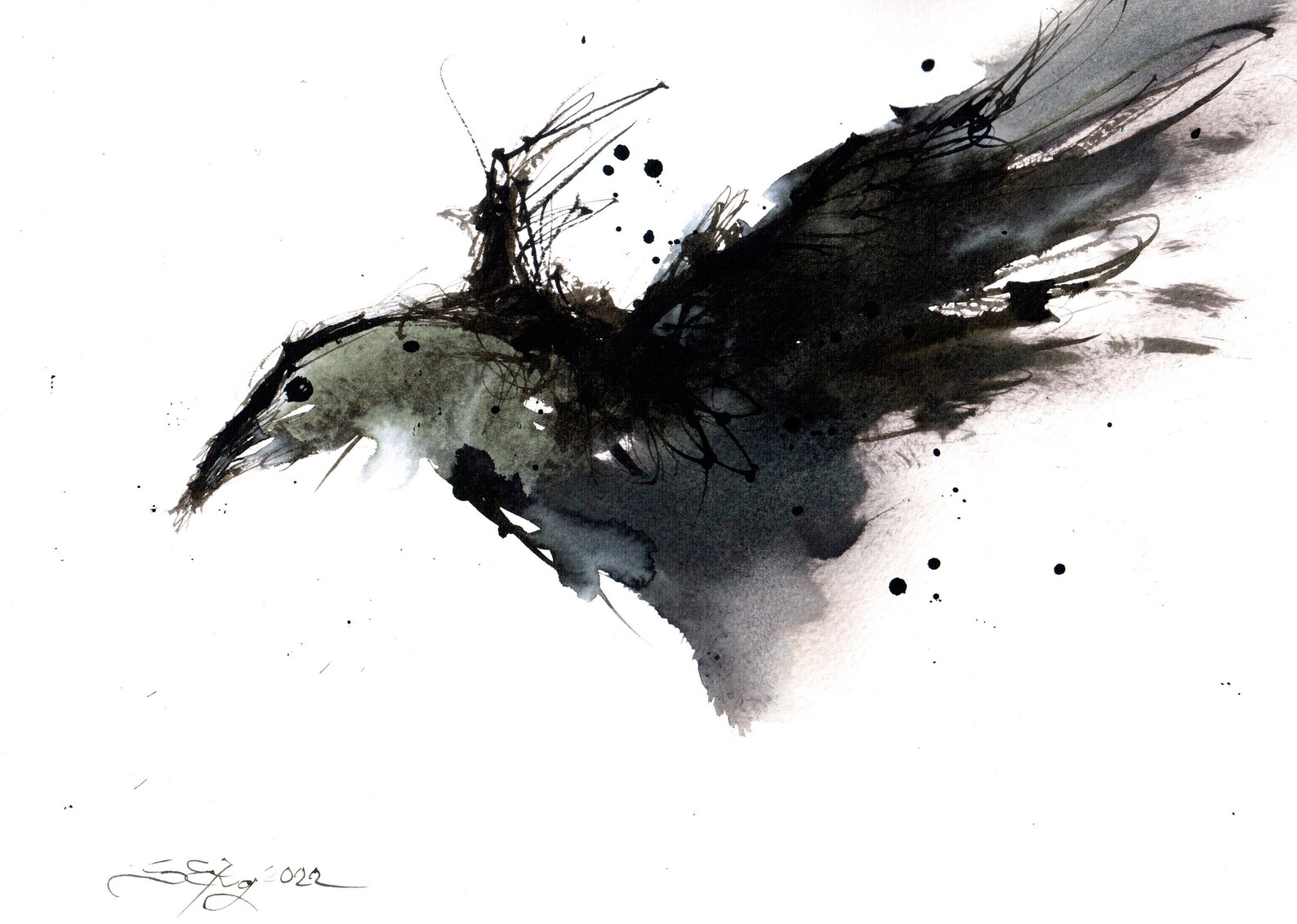 Raven Art Ink on 8x11 Ina4 21x30cm Black and White | Etsy