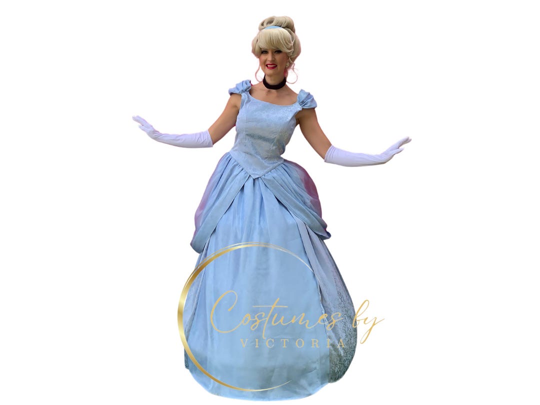 Complete Adult Cinderella Costume, Entire Princess Cinderella Dress ...