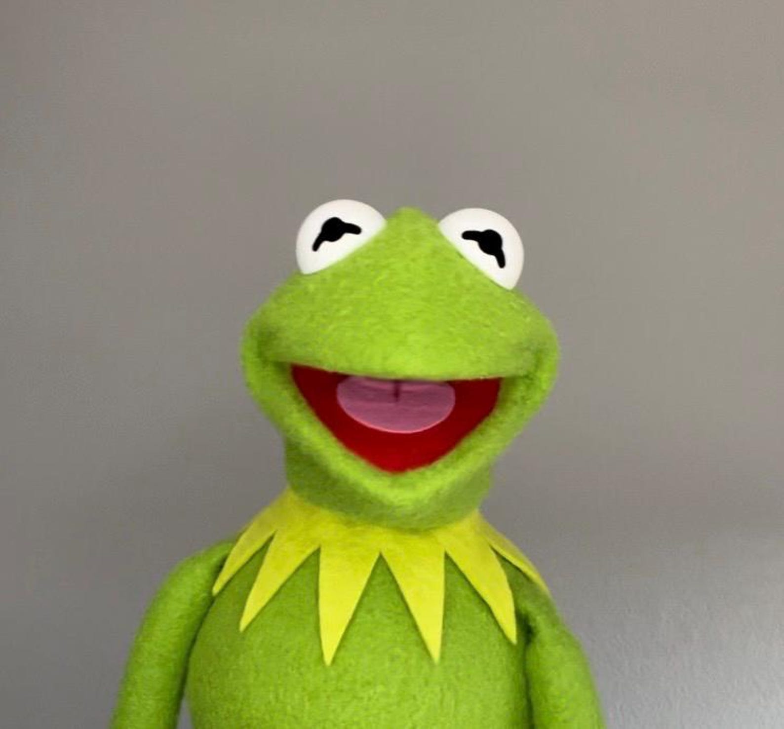 Professional Kermit the Frog Puppet Replica - Etsy