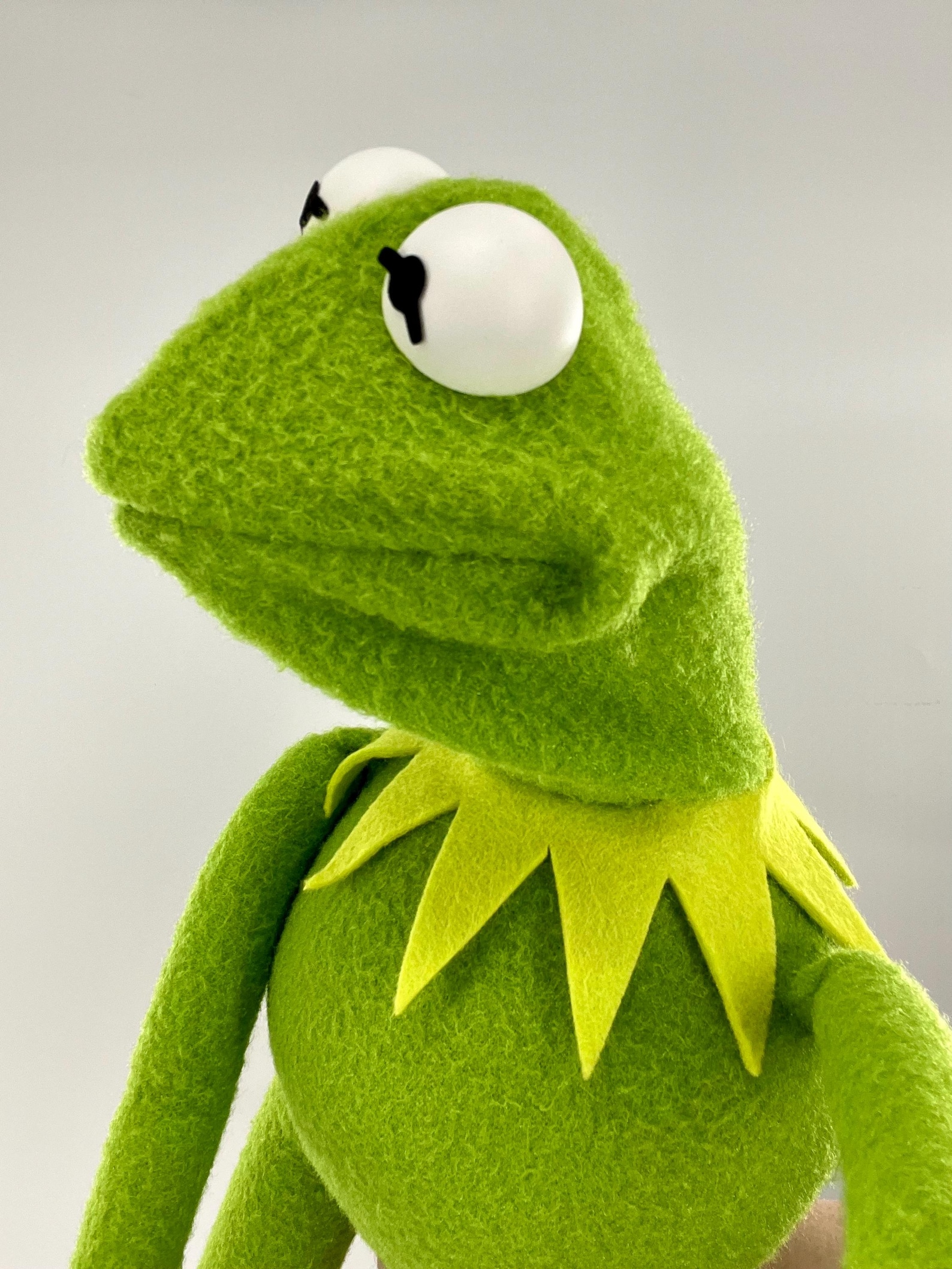 Professional Kermit the Frog Puppet Replica - Etsy