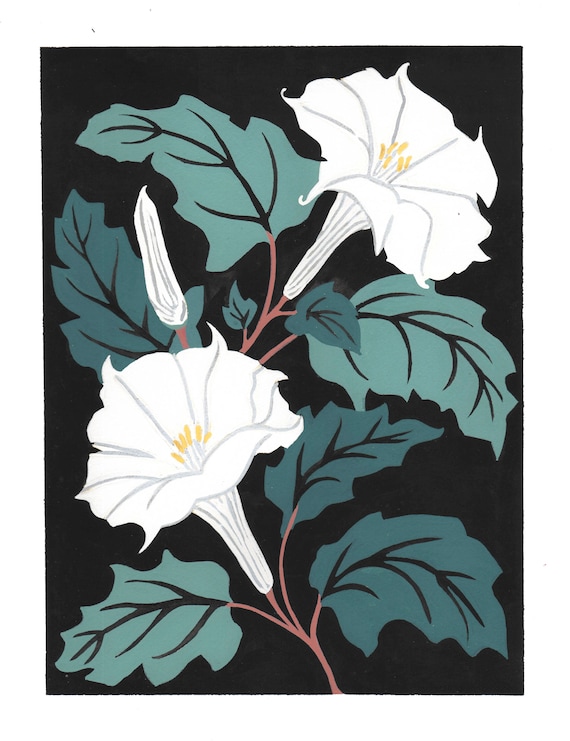 California Native Flower Art Print Sacred Datura Botanical - Etsy