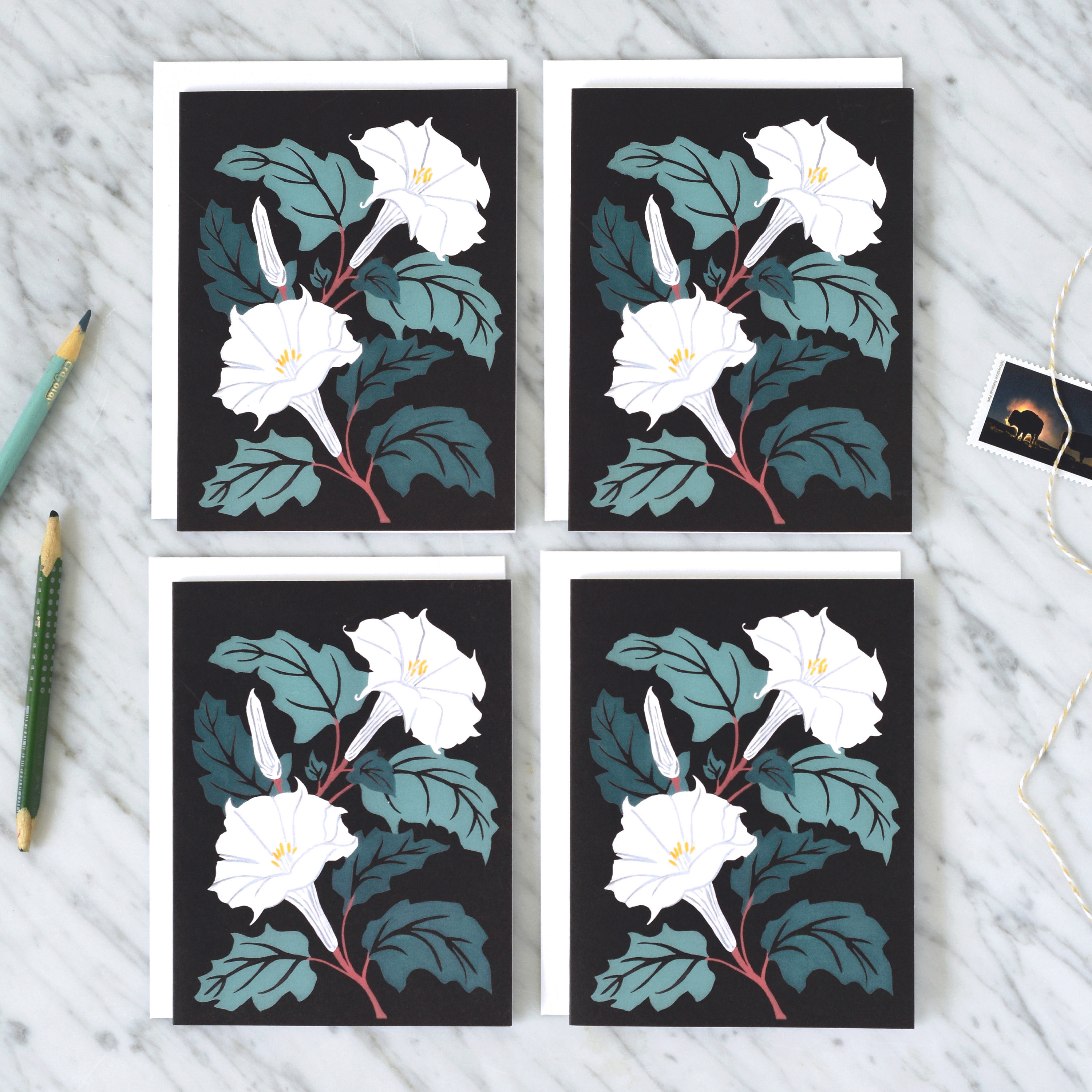 Set of 8 Cards, Wildflower Card, California Native Plants, Blank Cards ...