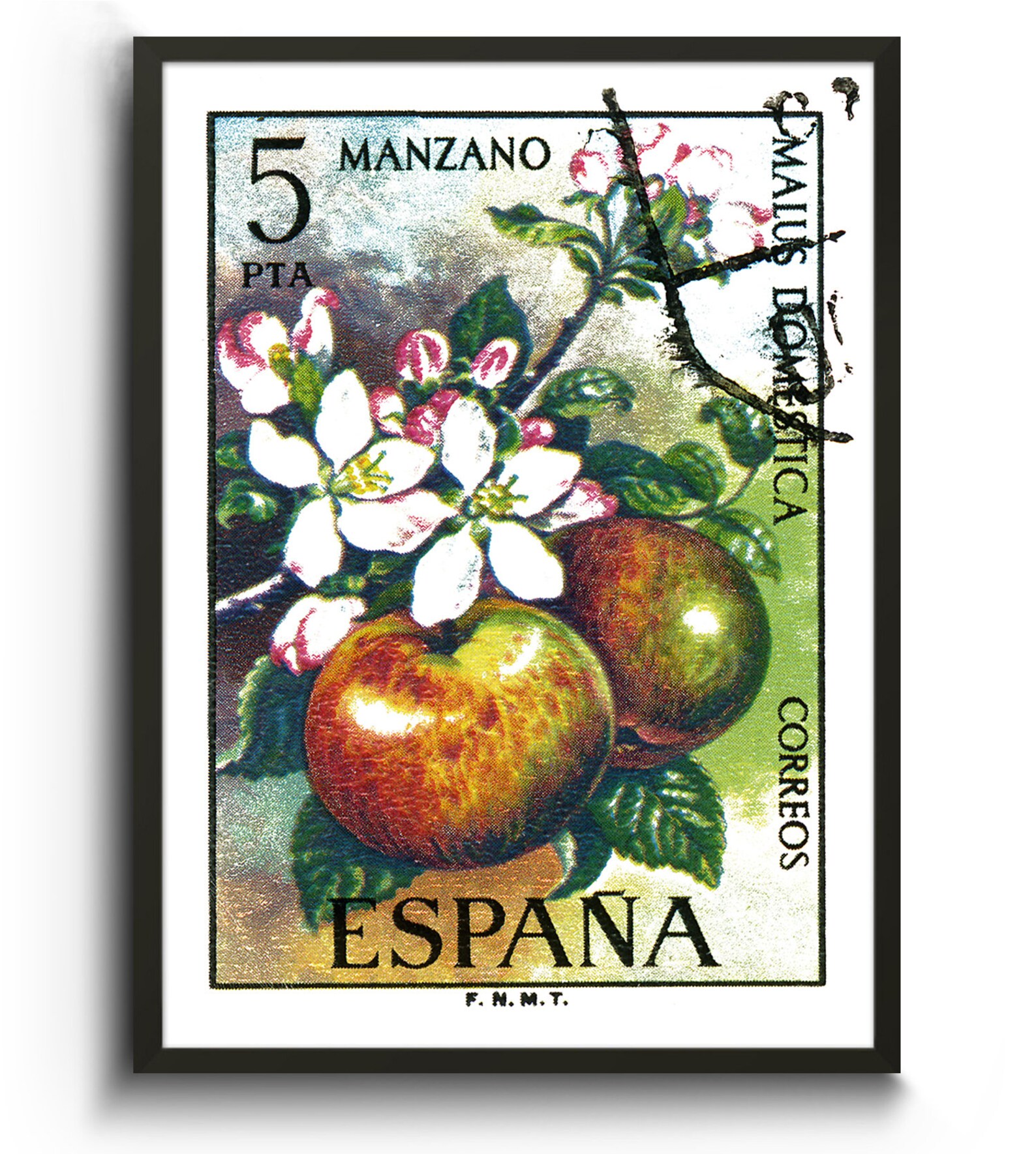 Botanical Art and Flower Art, Spain Art, Travel Poster, Kitchen Wall ...