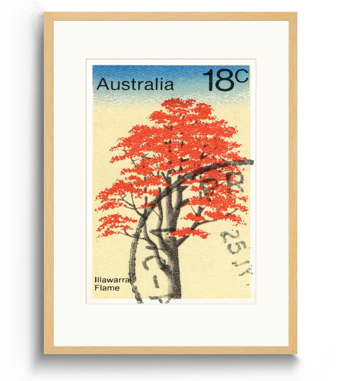 Nature Wall Art and Australian Gifts of Botanical Wall Art Print ...