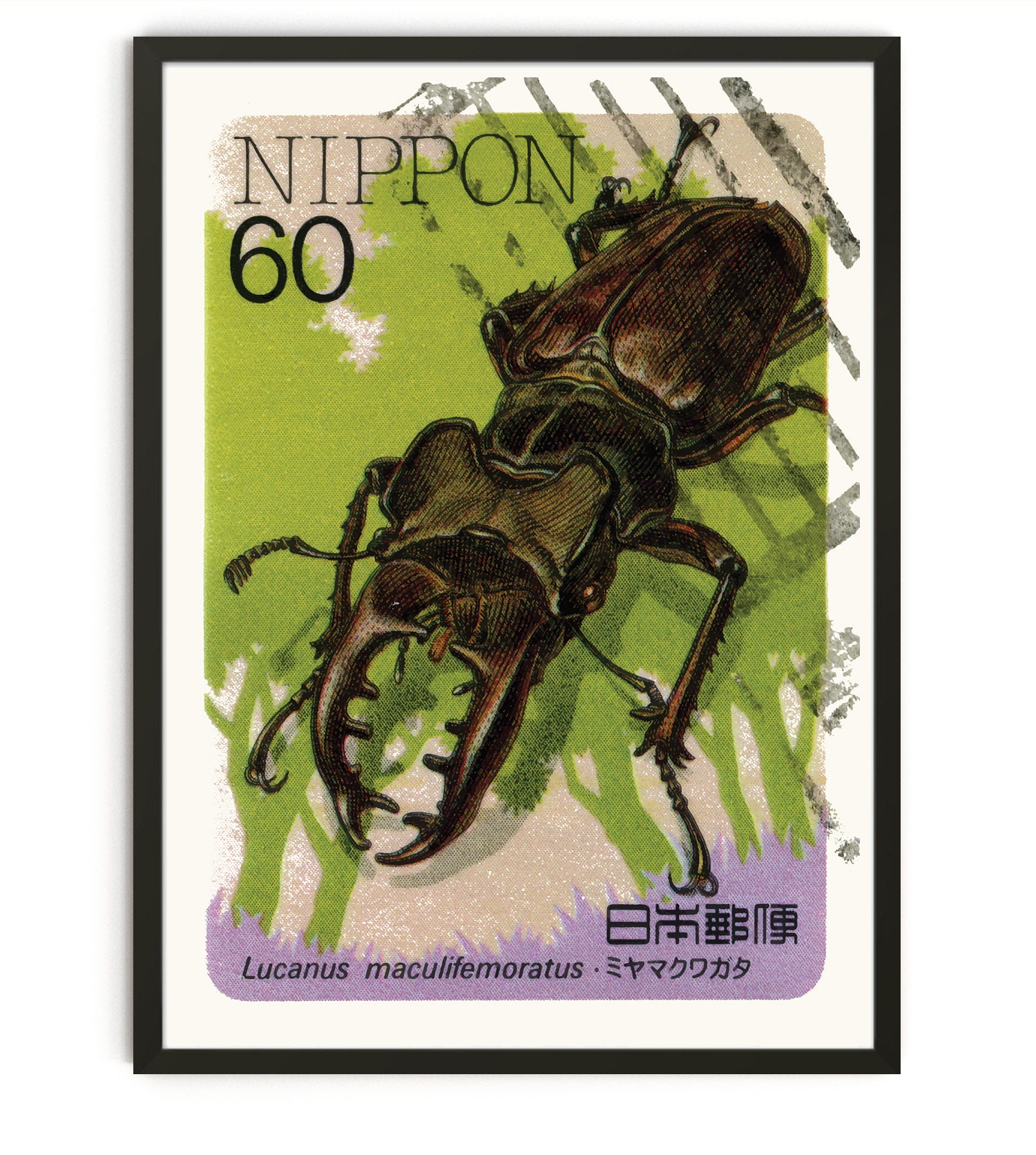 Insect Art, Japanese Art Print, Japanese Wall Art, Asian Art, Insect ...