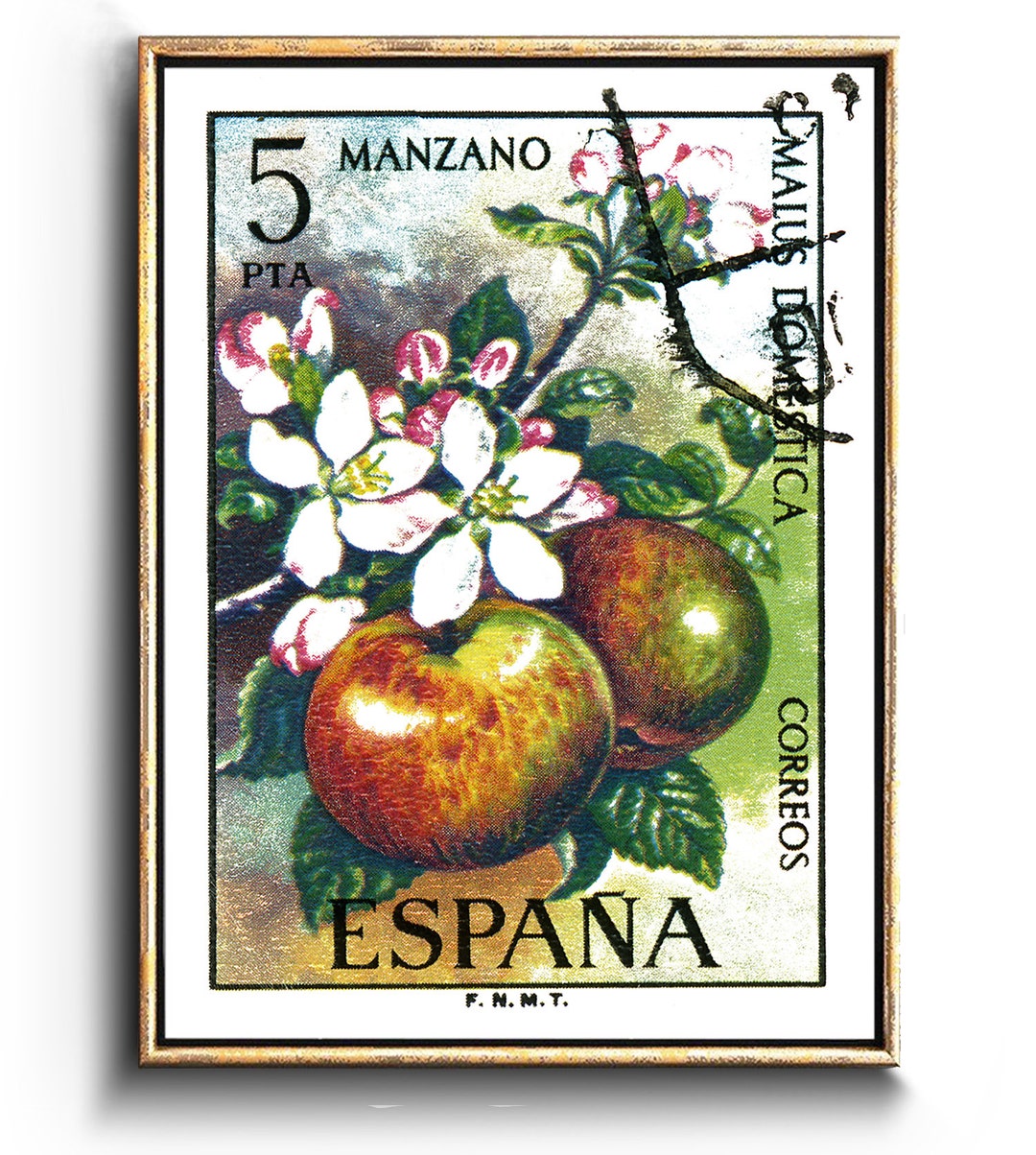 Botanical Art and Flower Art, Spain Art, Travel Poster, Kitchen Wall ...