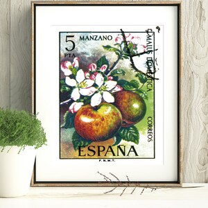 Botanical Art and Flower Art, Spain Art, Travel Poster, Kitchen Wall ...