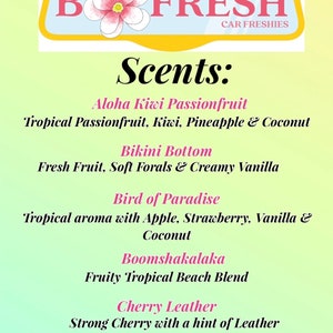Car Freshie Gift Box, Car Scent, Air Freshener, Freshie Gift Set - Etsy