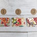 Card Wallet, Gift Card Holder, Card Case, Credit Card Pouch, Reward ...