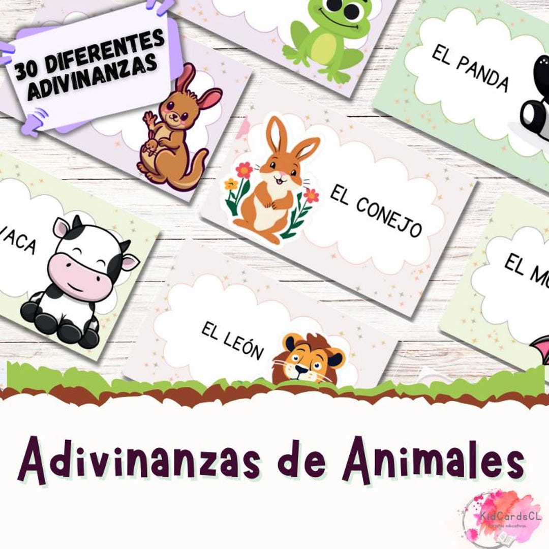 Animal Riddles, Educational Flashcards Digital Download, Printable ...