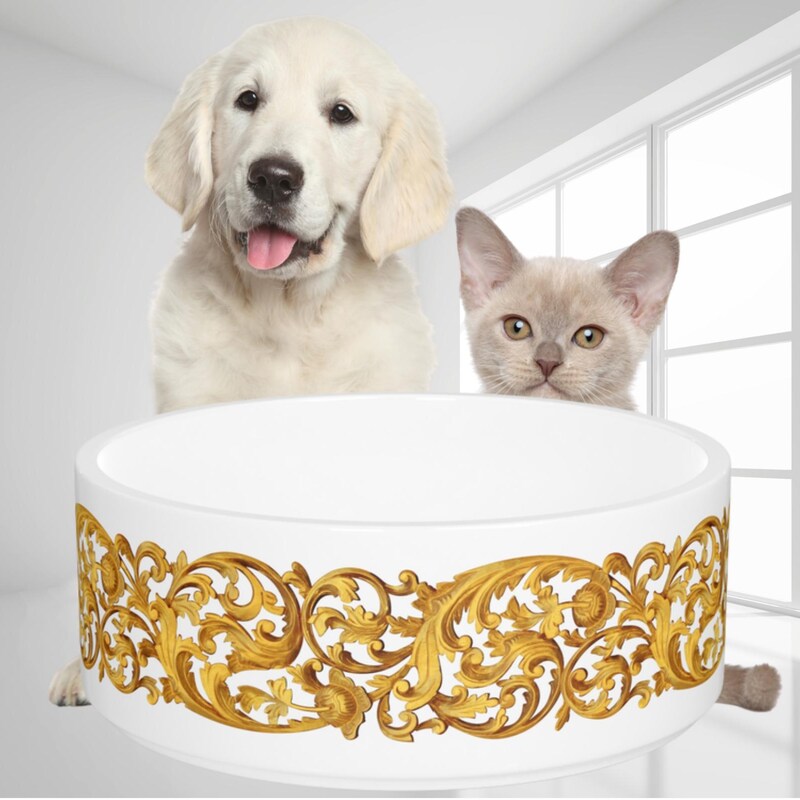 Fancy Cat Bowl - Etsy