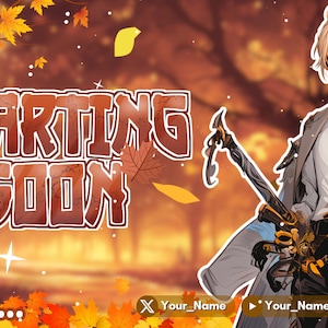 Custom Animated Stream Screen Pack / Custom Twitch Stream Screen ...