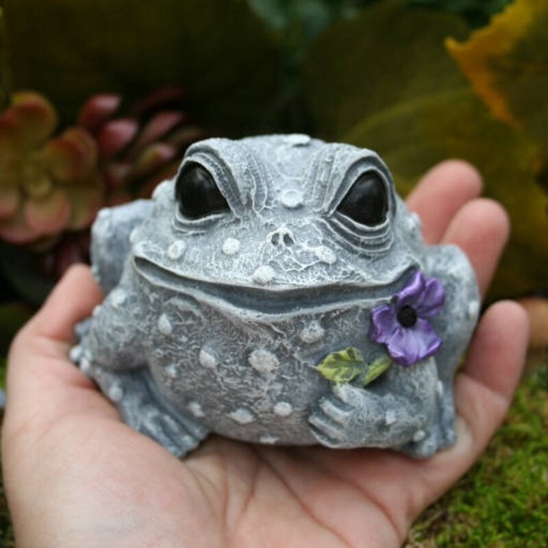 Concrete Toad - Etsy