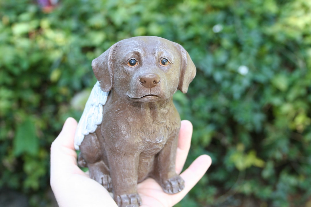 Chocolate Lab Dog Angel - Chocolate Labrador Retriever Concrete Statue ...