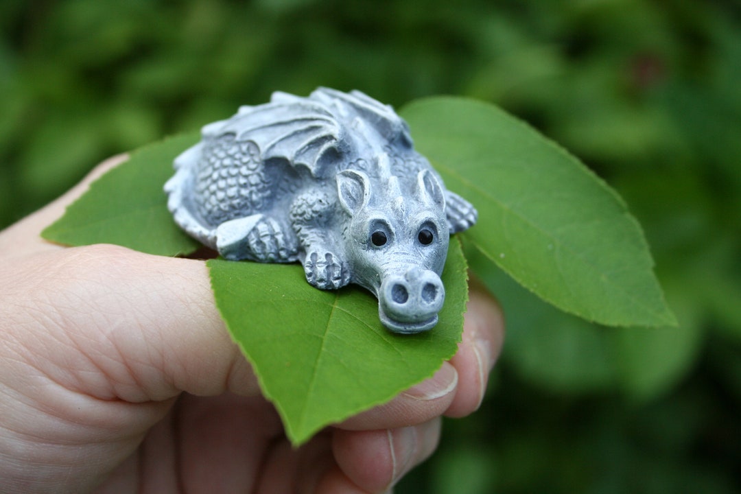 Baby Dragon Statue Comes With His Very Own Cage - Adopt a Pet Dragon ...