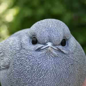 Concrete Bird Statue Fat Bird Garden Sculpture - Etsy