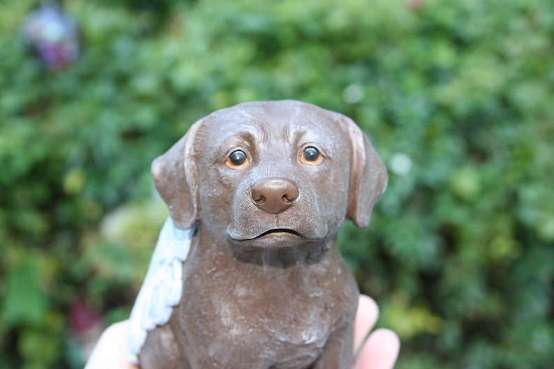Chocolate Lab Dog Angel Chocolate Labrador Retriever | Etsy