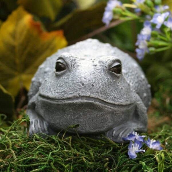 Concrete Toad - Etsy
