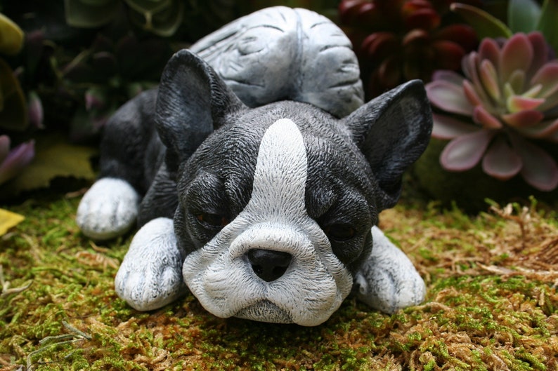 Boston Terrier Angel Dog Statue New Size Concrete Boston | Etsy