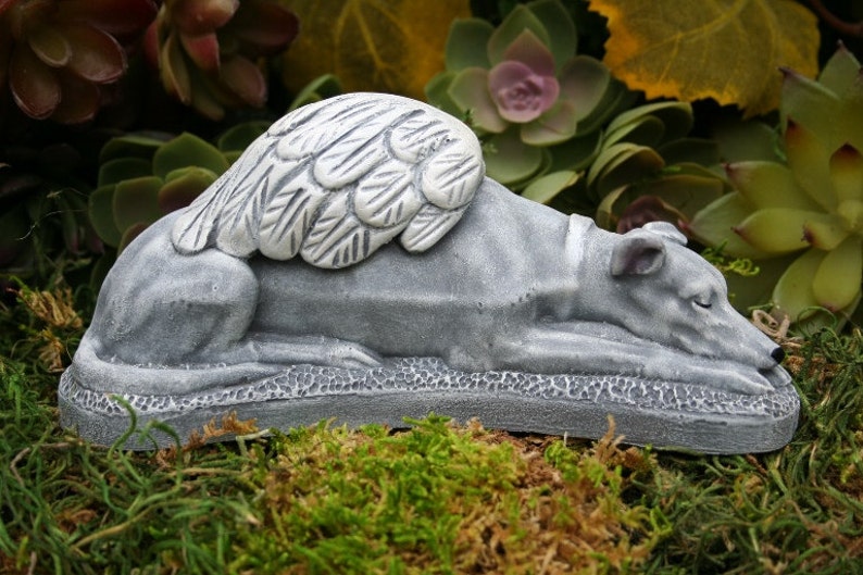 Greyhound Angel Dog Statue Whippet English Italian Concrete - Etsy