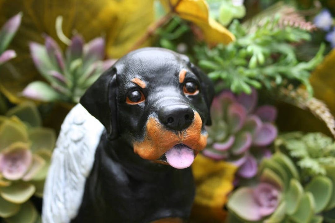 Rottweiler Statue, Rottie Angel Dog Memorial Concrete Rotweiler Dog ...